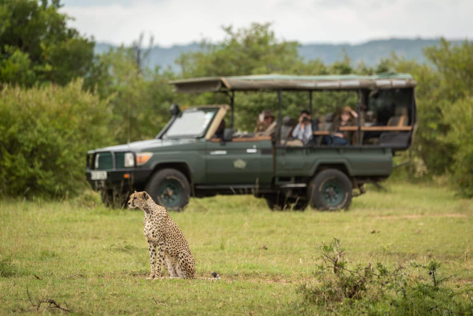 Top Safari Routes in Kruger Park for First-Time Visitors
