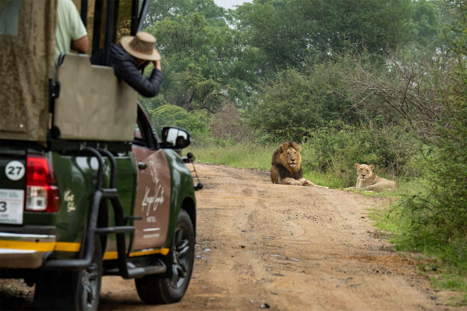 Safari Experiences at Kruger Gate Hotel | Kruger National Park